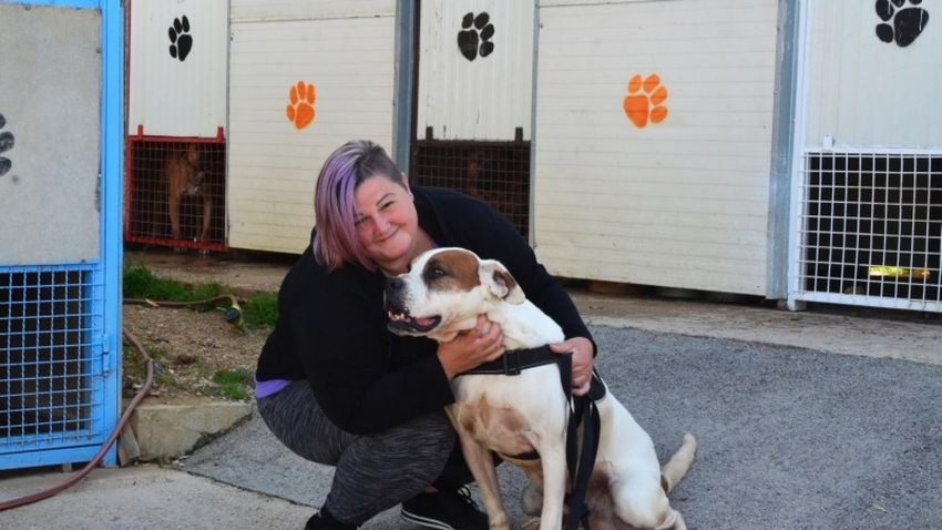 VEOL - Antal Laurának az állatmentés az élete