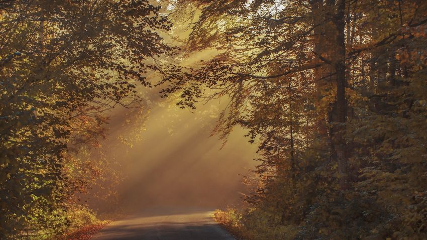 VEOL - Fátyolfelhők szűrte napos időre számíthatunk csütörtökön ...