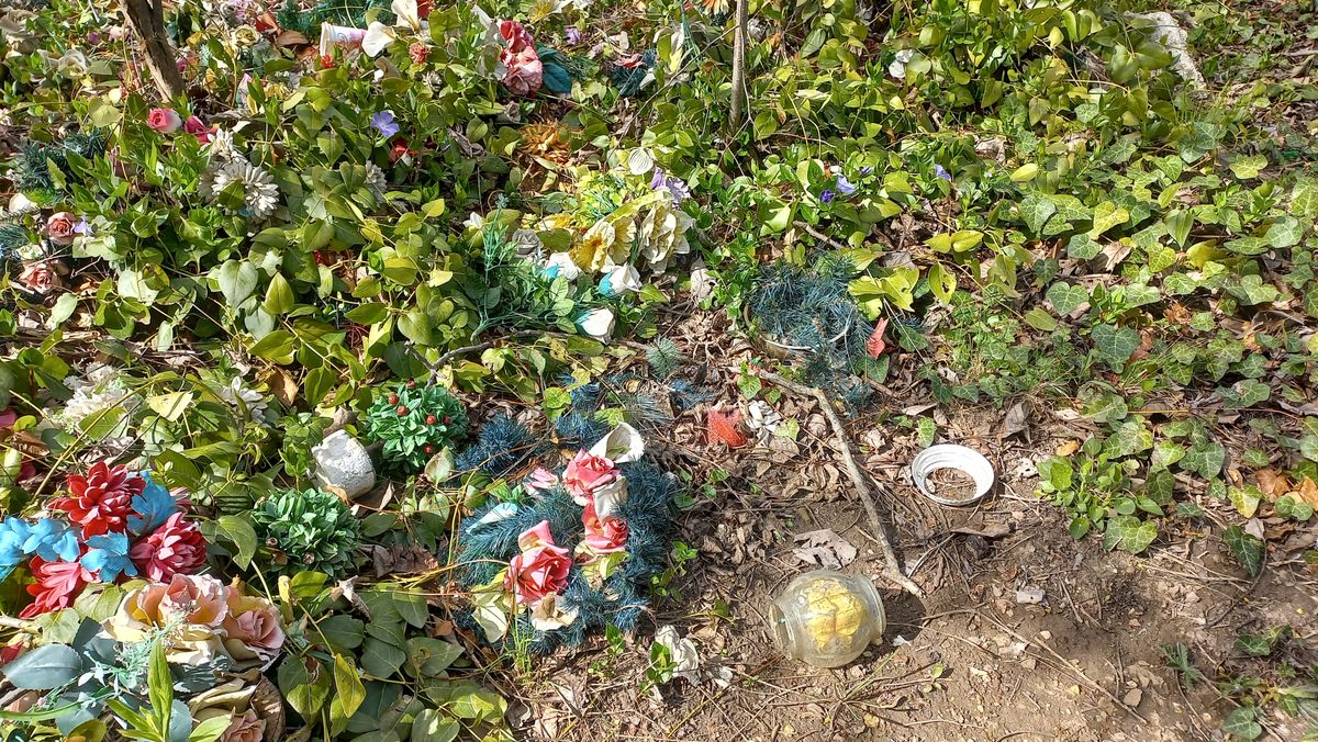 Színes virágözön a bokrok alján? Nem! Műanyagszemét!