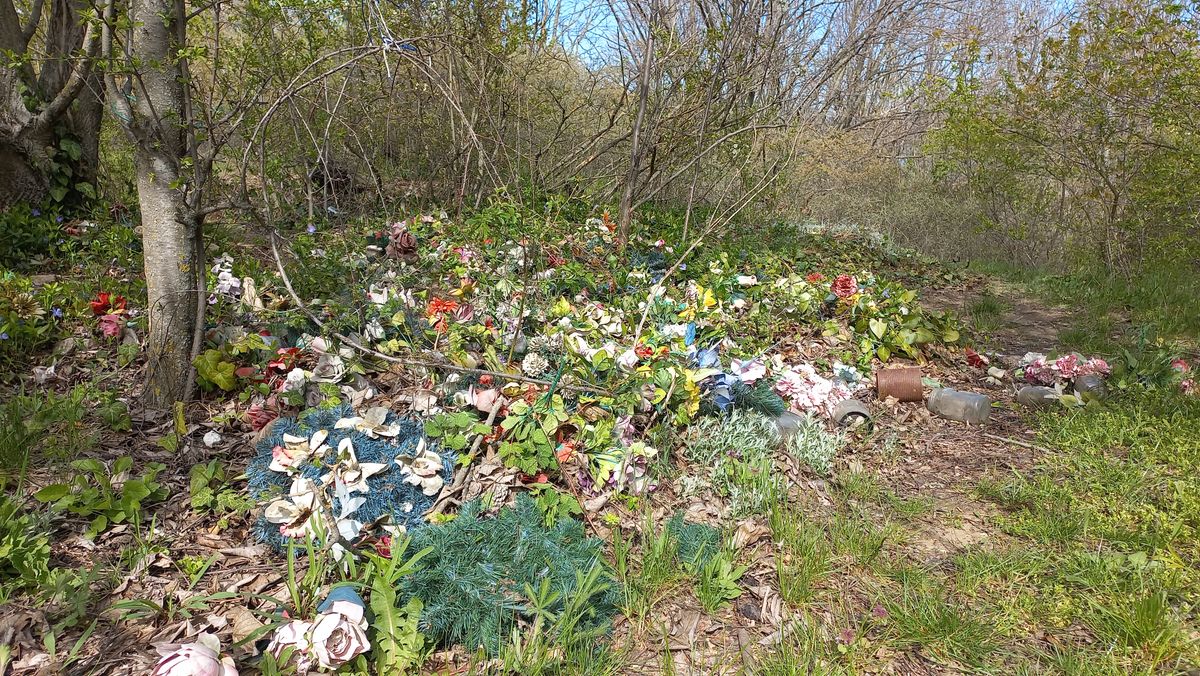 Színes virágözön a bokrok alján? Nem! Műanyagszemét!