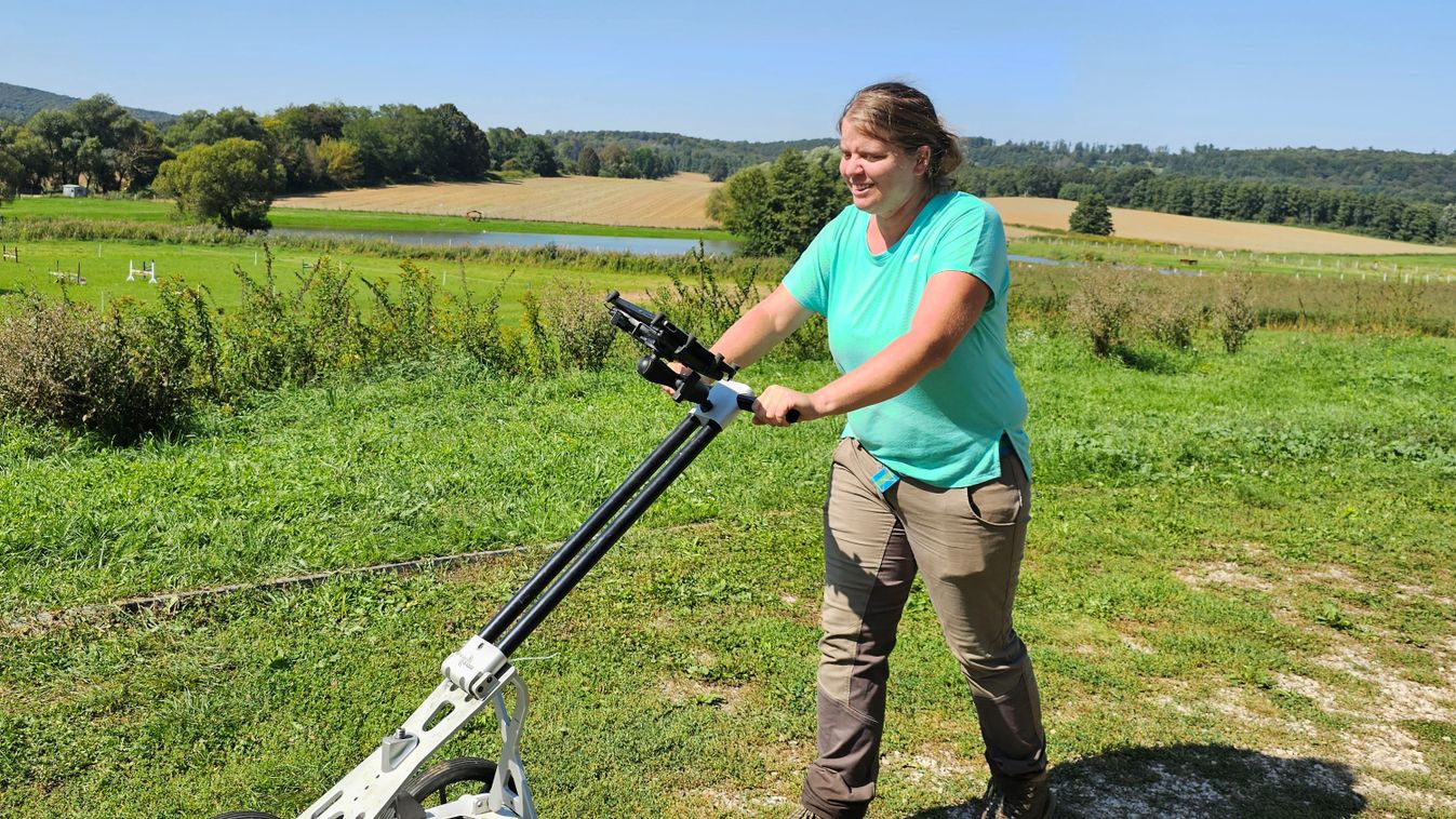 Feltérképezik a porvai pálosok föld alá került nyomait