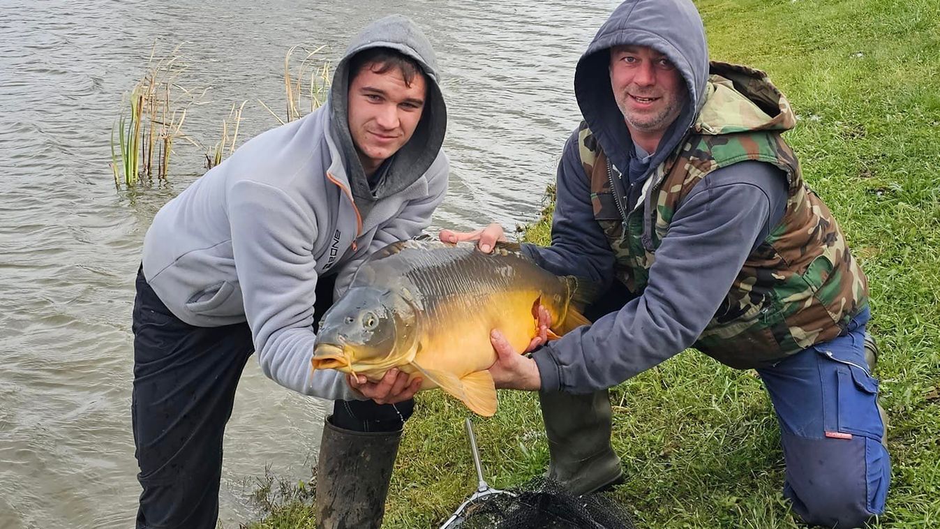 Óriáspontyok és amurok kerültek a porvai pálos tóba