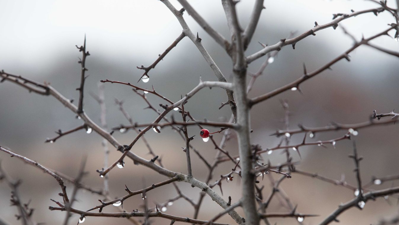 Ködös reggelre ébredünk Veszprém vármegyében