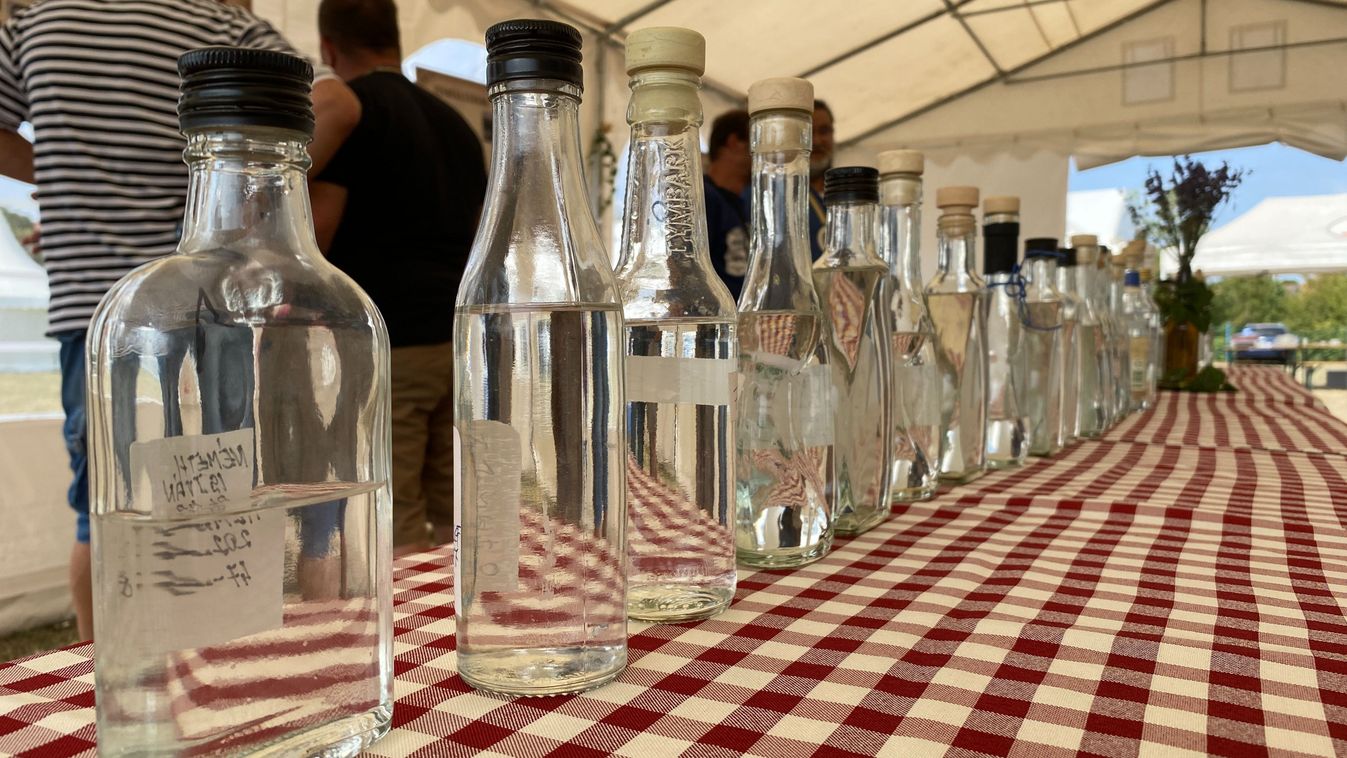 Pálinka a Bakonyban – Még nem dőlt el a barackpálinka sorsa