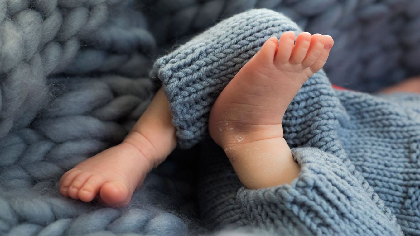 Gólyahír: Ők a vármegye legújabb lakói