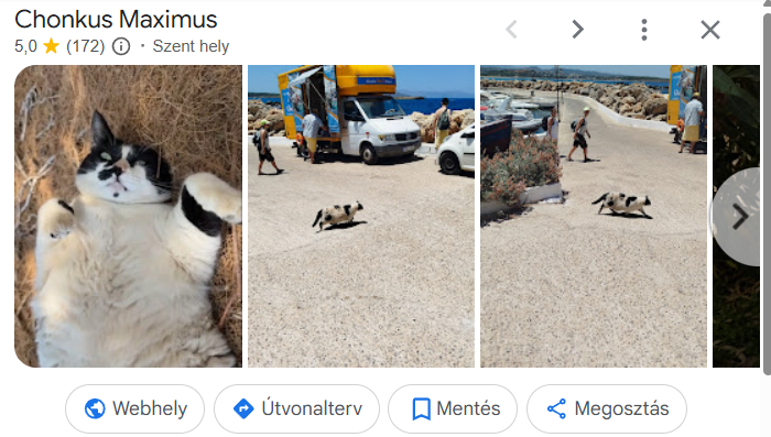 Chonkus Maximus: A szőrgombóc istenség