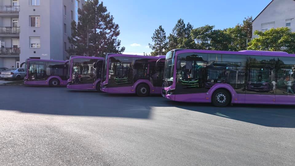 V-busz: új menetrend lép életbe augusztus elsejétől