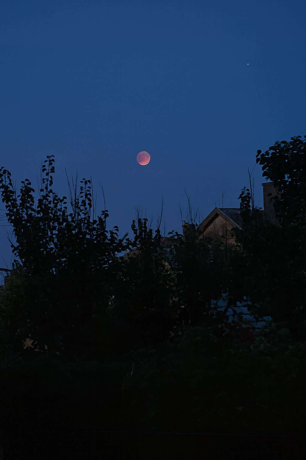 Vérhold nyitja a Jin Fa Kakas hónapot, fordulópont a kínai horoszkóp ...