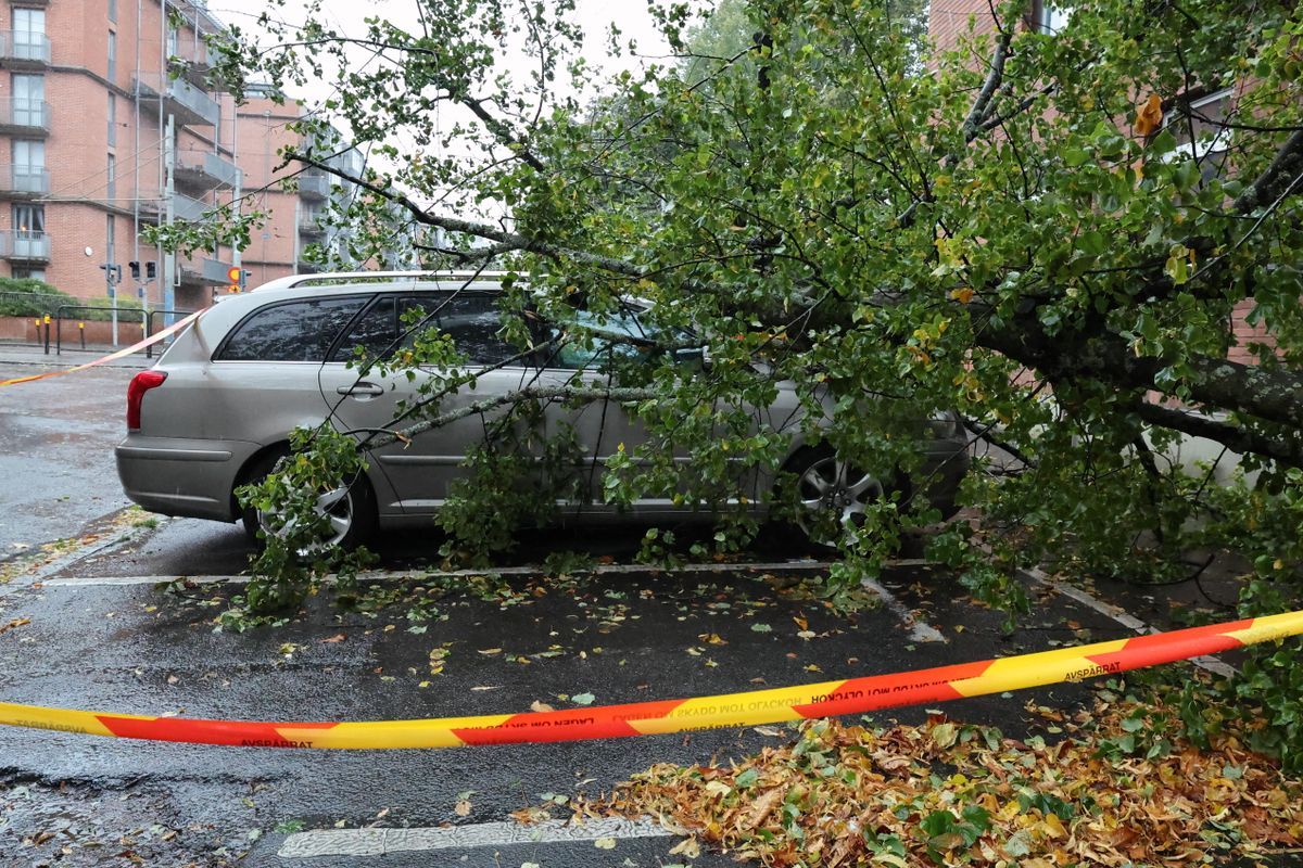 Szélvihar: halálos áldozatot követelt az Amy ciklon