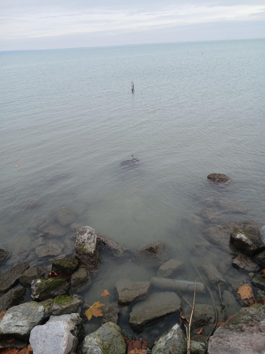 Balaton vízállása: stabil, de alacsony az északi parton is