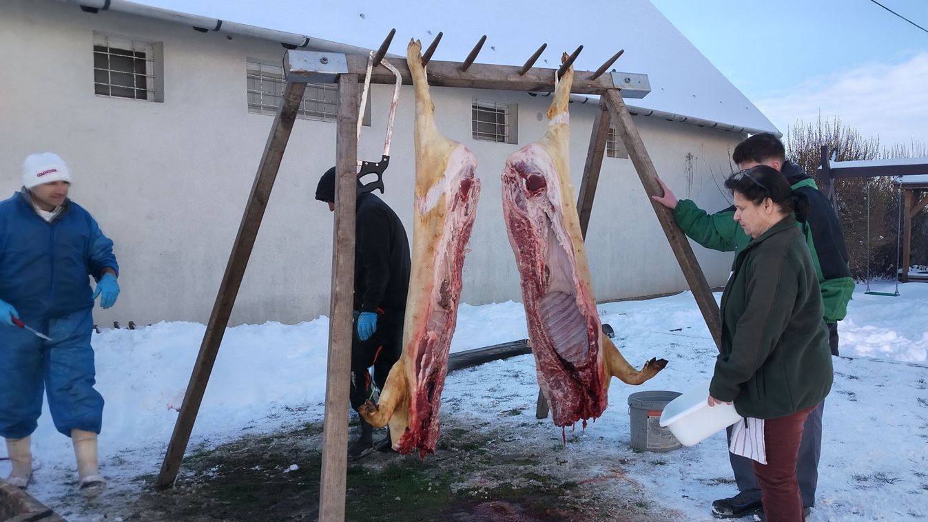 Évindító disznóölés Ajkarendeken tizennyolcadszor