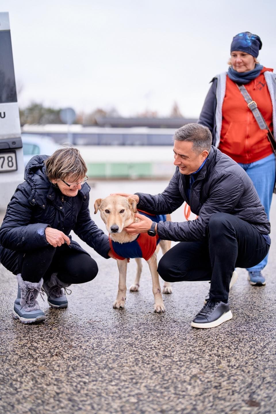 Rozi kutya gazdája méltó büntetést kapott