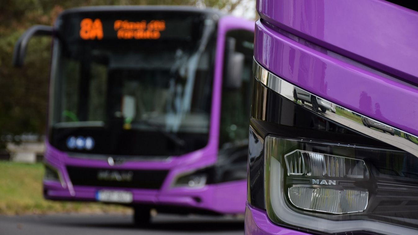 V-Busz 2025-ös éve a megbízhatóságról szólt