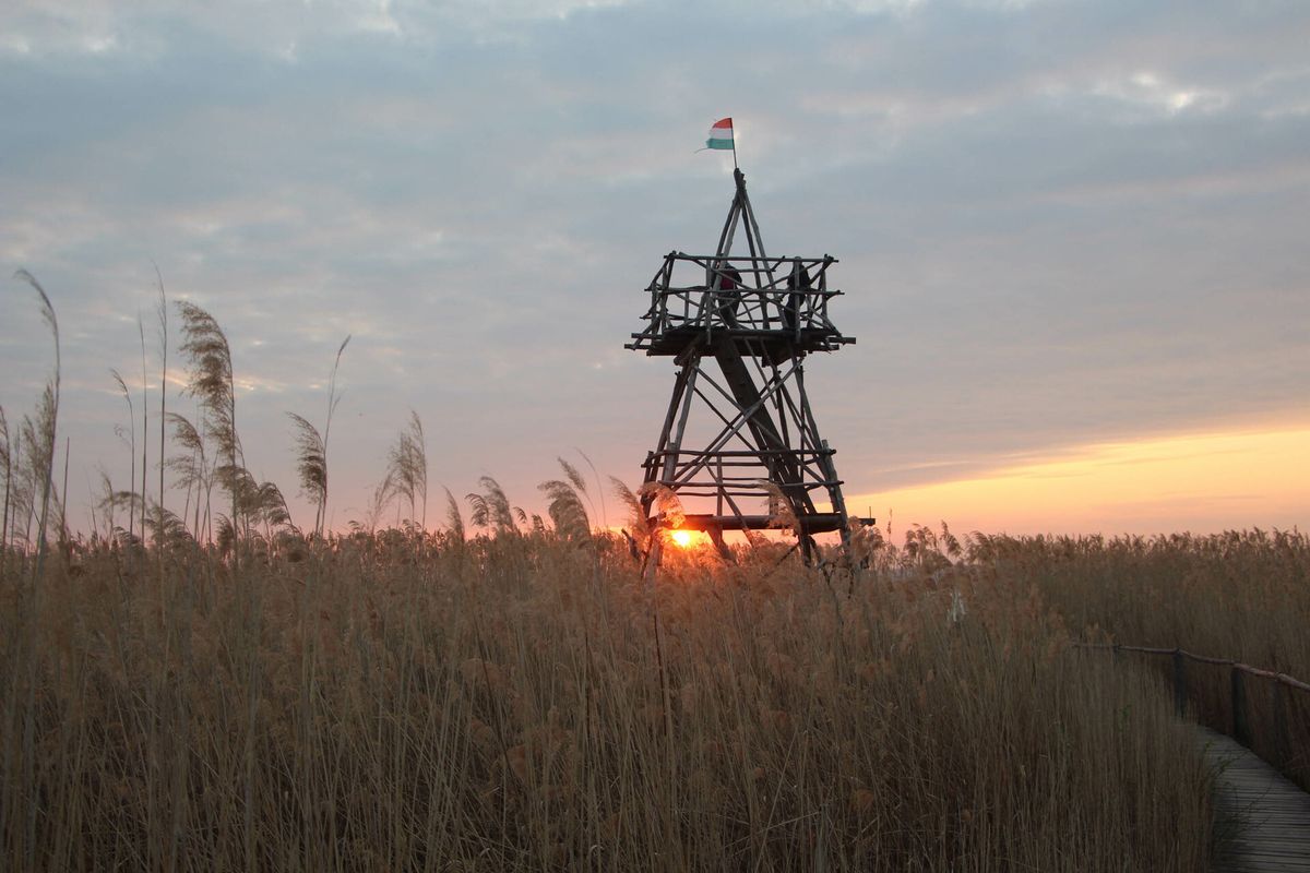Titkos strandok a Balaton partján és a közösségi barkácsolás